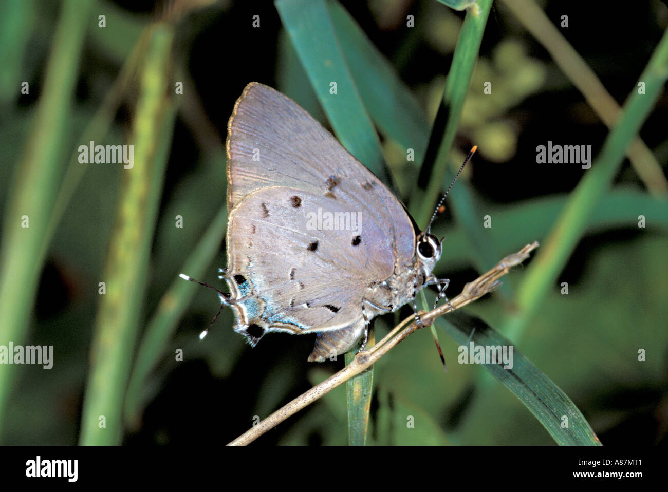 Ojo agua hi-res stock photography and images - Alamy