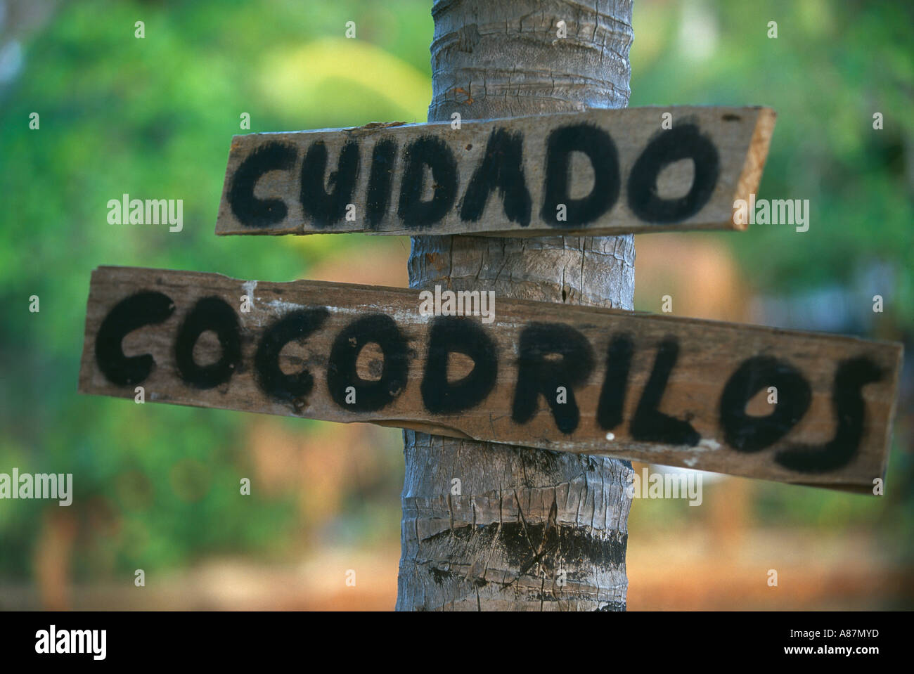 Beware of Crocodiles sign Nicoya Peninsula Guanacasate Costa Rica Stock ...