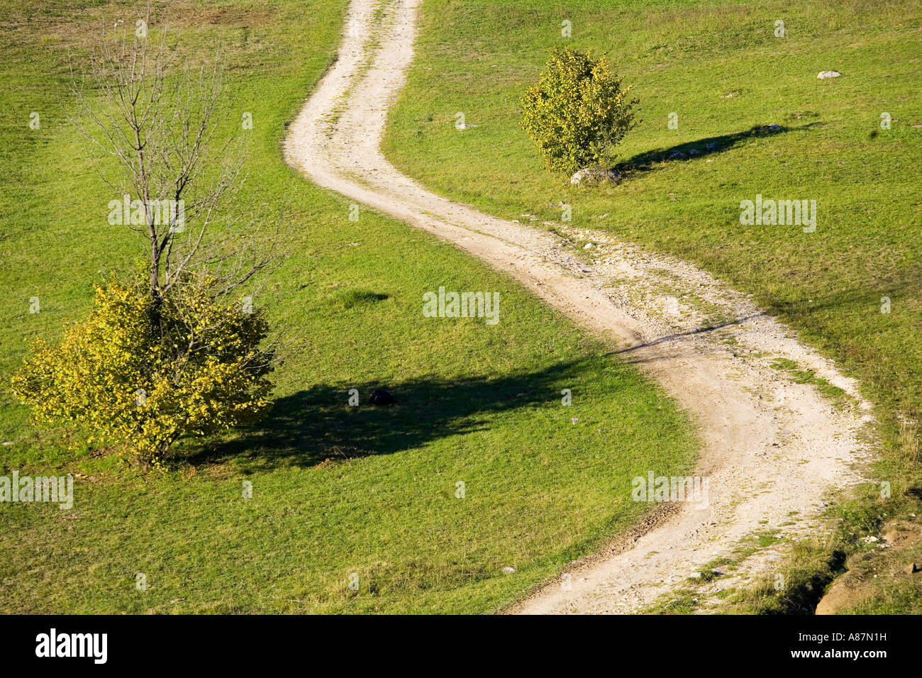 Wiggly path hi-res stock photography and images - Alamy
