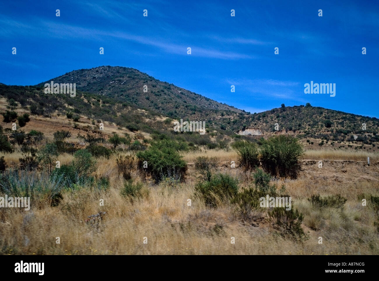 Middle chile hi-res stock photography and images - Alamy