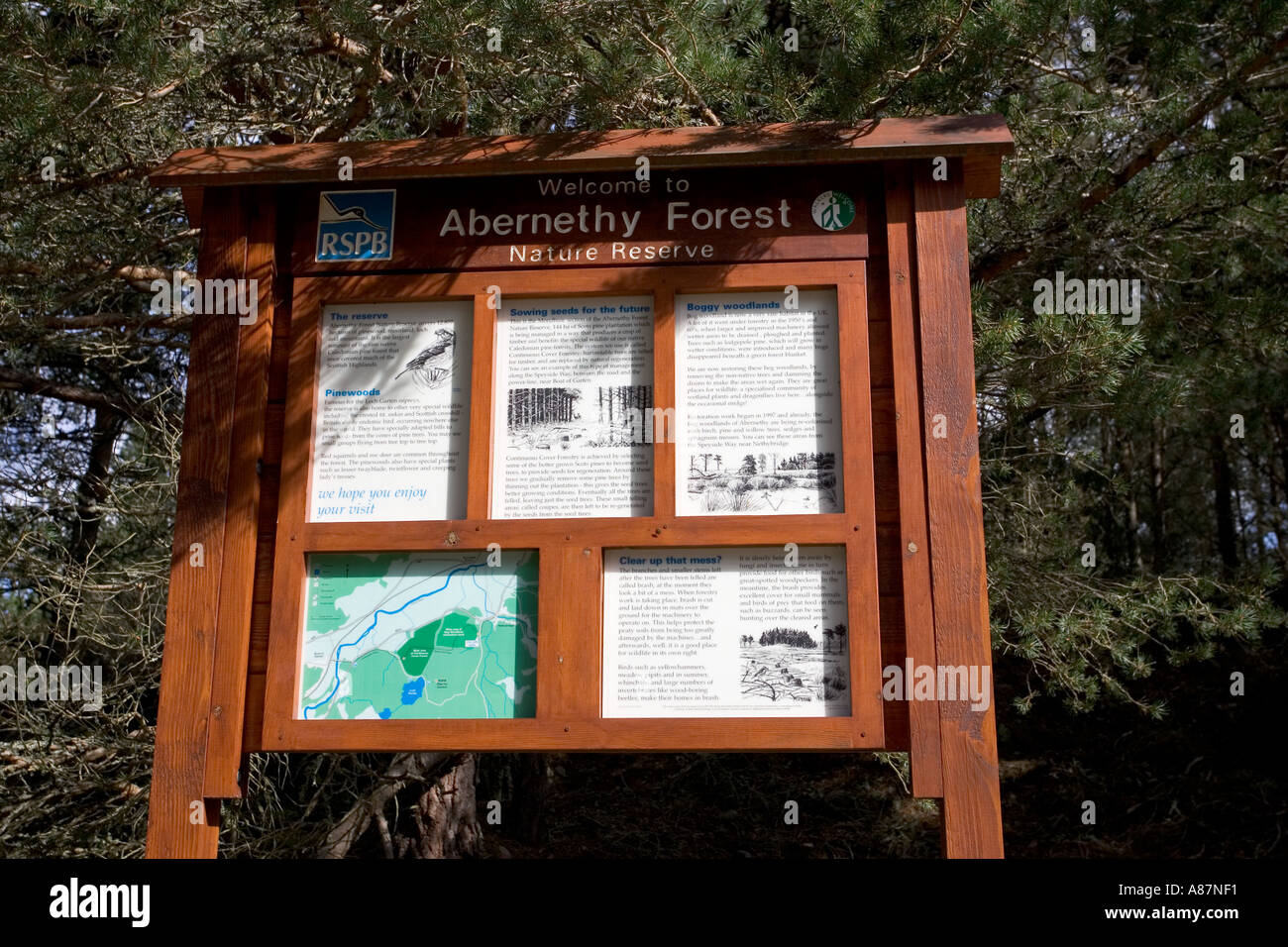 Rspb Abernethy Forest Lodge _ Abernethy National Nature Reserve – AZZU