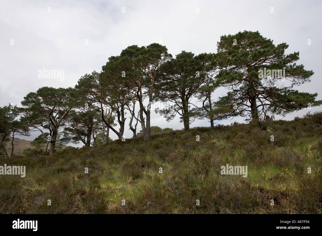 Abernethy scotland hi-res stock photography and images - Alamy