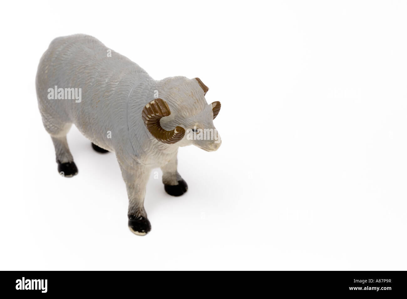 One plastic/rubber grey ram toy on white background Stock Photo - Alamy