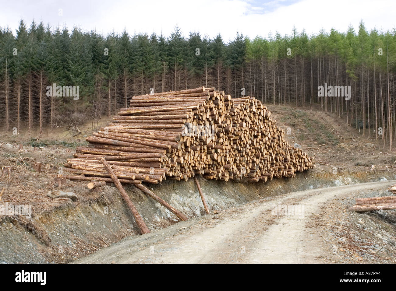 Transportation of logs hi-res stock photography and images - Alamy