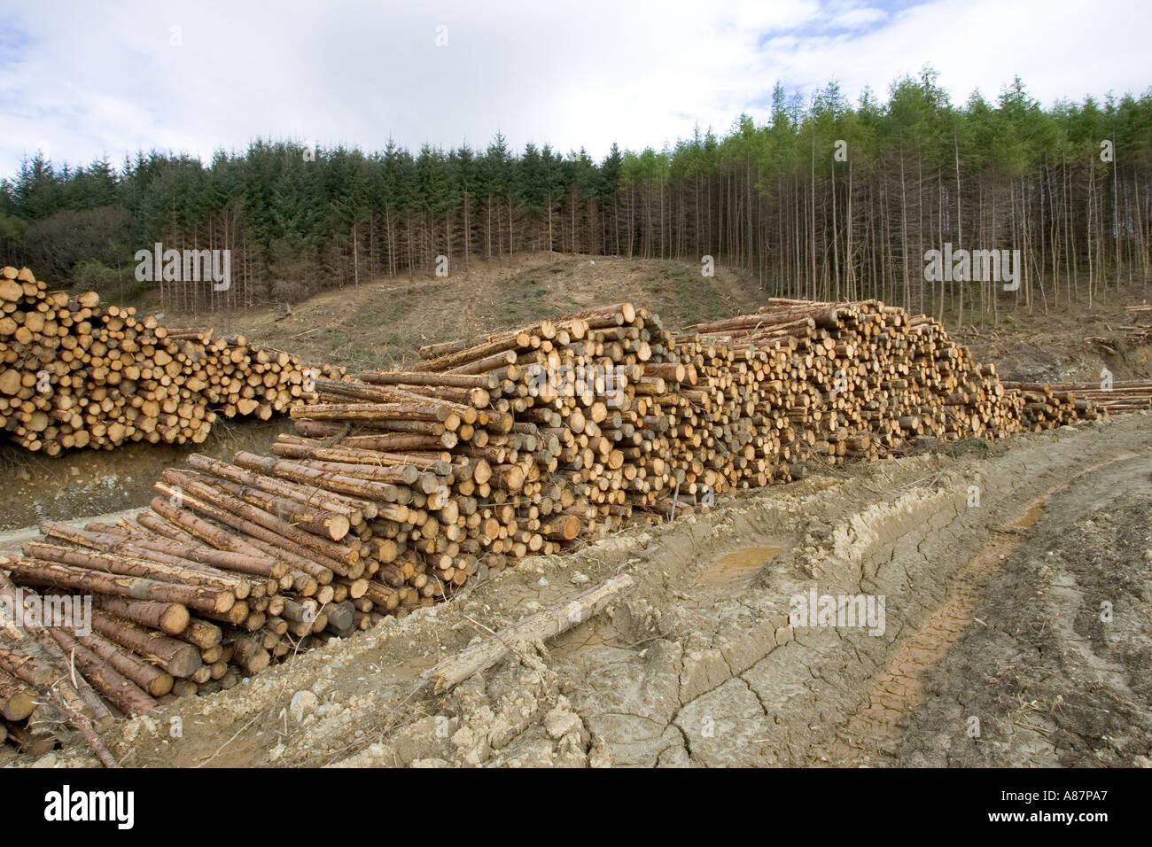 Transportation of logs hi-res stock photography and images - Alamy