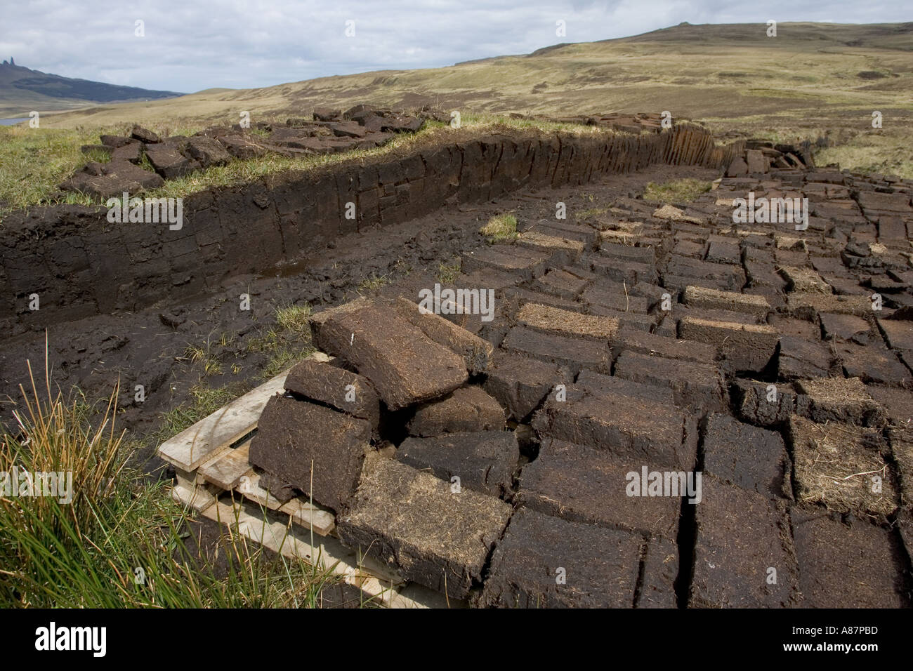 Peat cutting with blocks drying Isle of Skye Scotland Stock Photo - Alamy