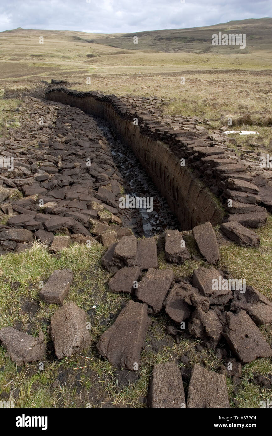 Peat cutting with blocks drying Isle of Skye Scotland Stock Photo - Alamy