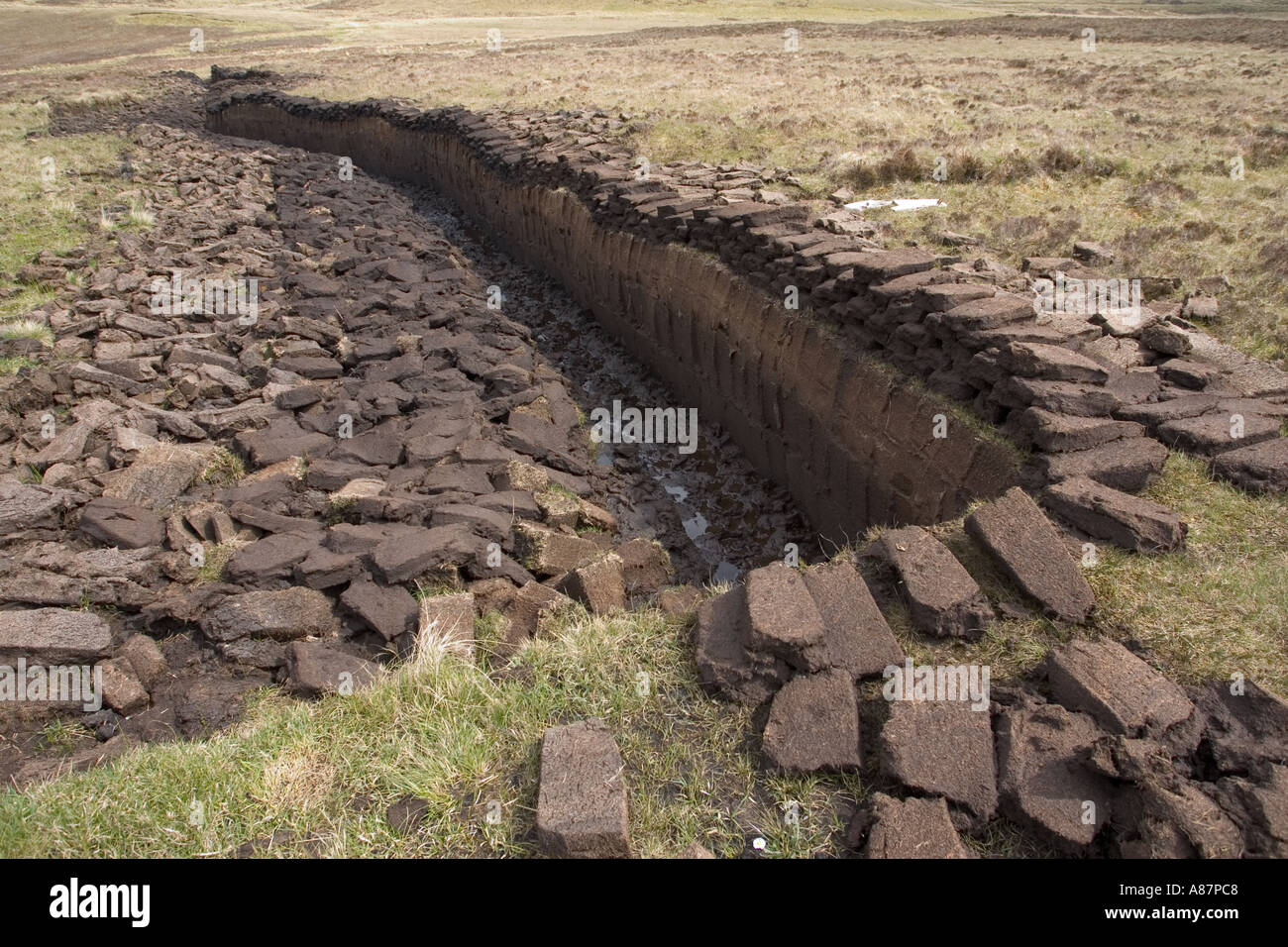 Peat cutting with blocks drying Isle of Skye Scotland Stock Photo - Alamy