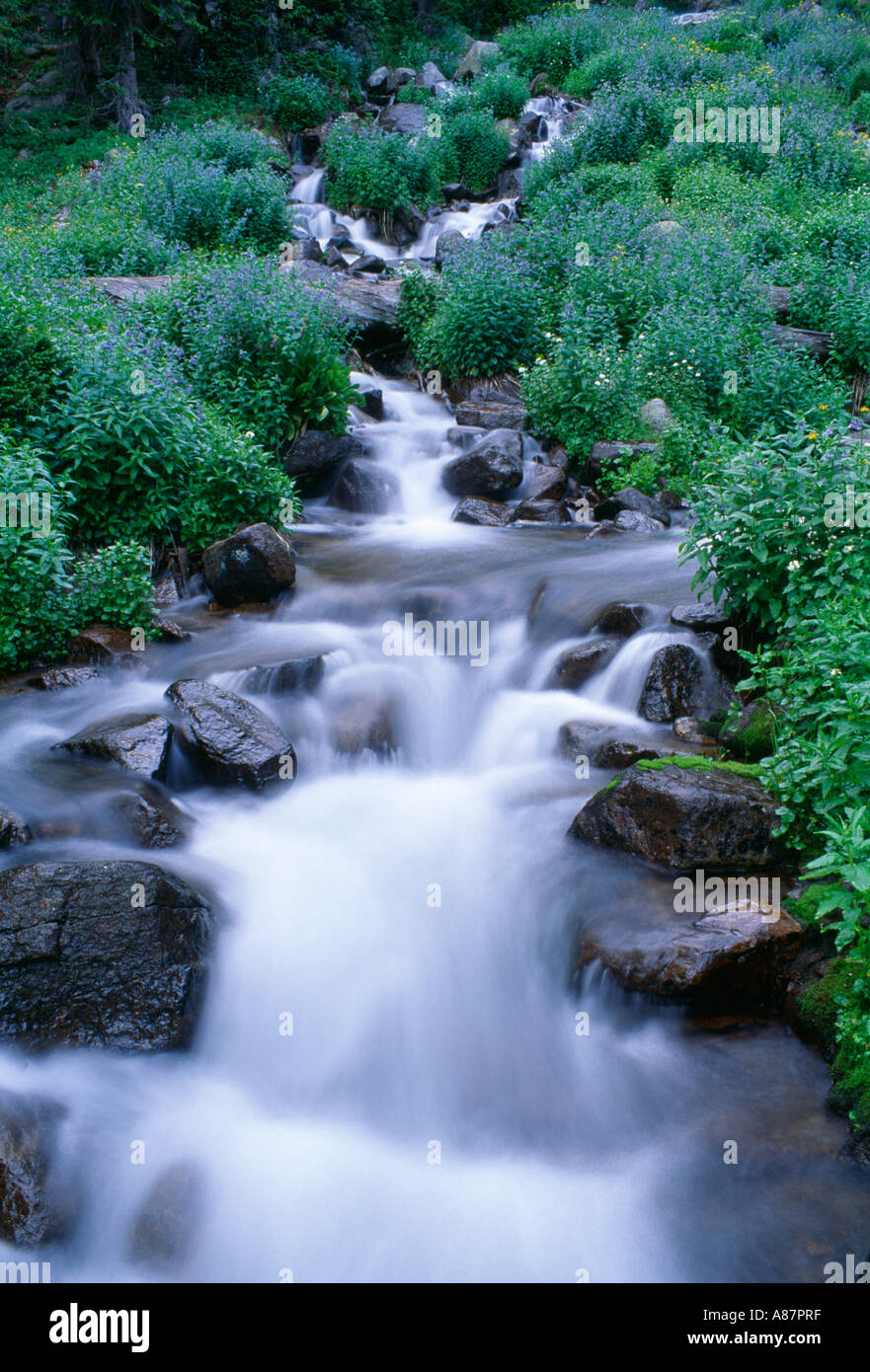Fastest flowing river hi-res stock photography and images - Alamy