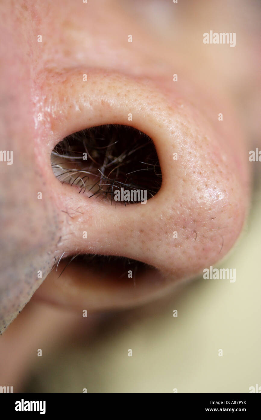 Nasal nose hairs hi-res stock photography and images - Alamy