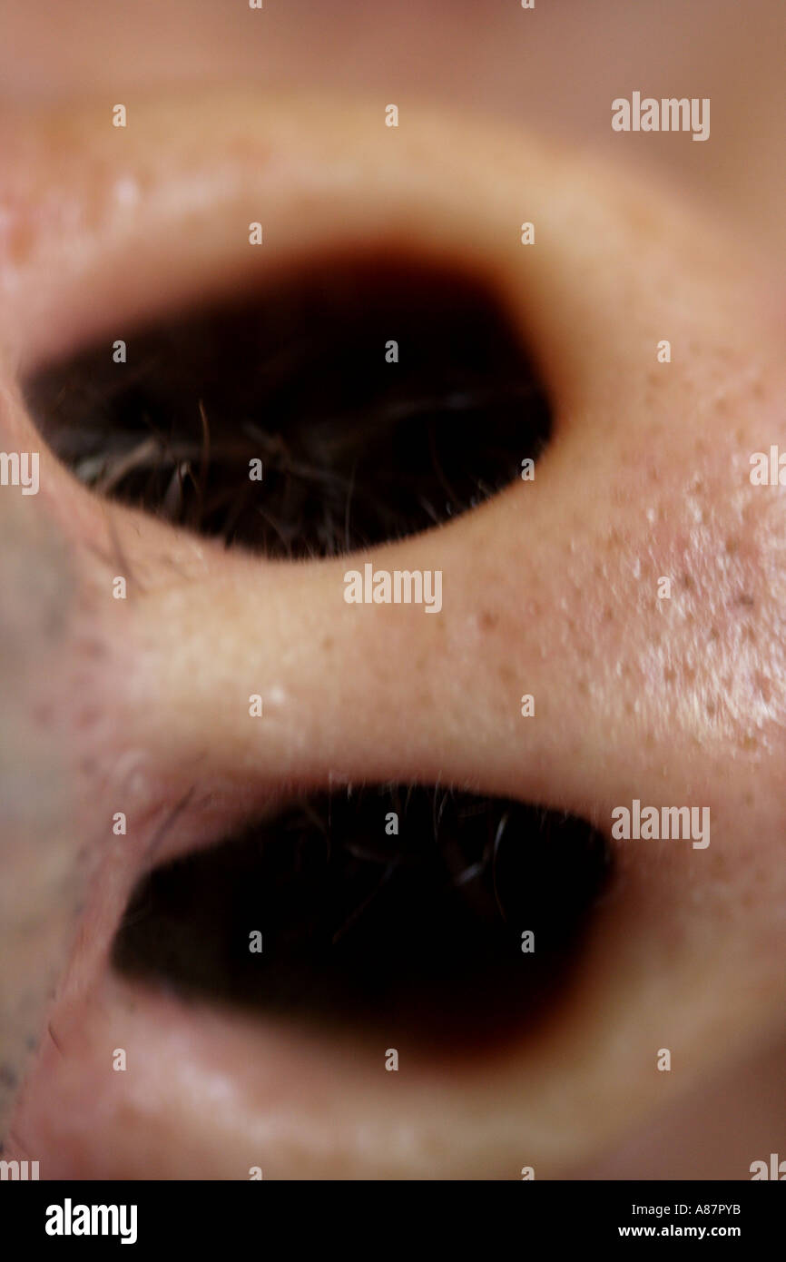 Nasal nose hairs hi-res stock photography and images - Alamy