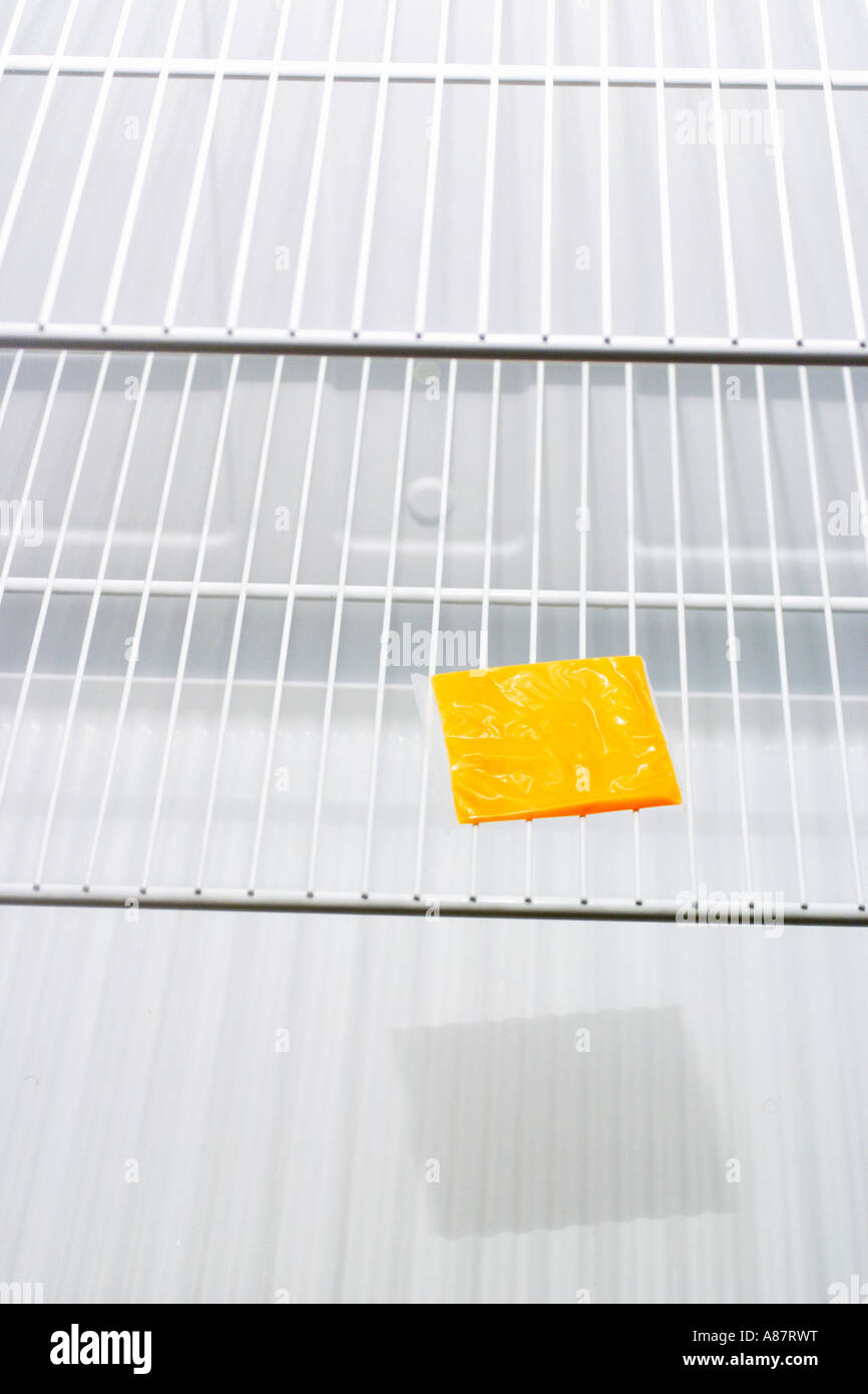 Single slice of cheese in empty fridge Stock Photo - Alamy
