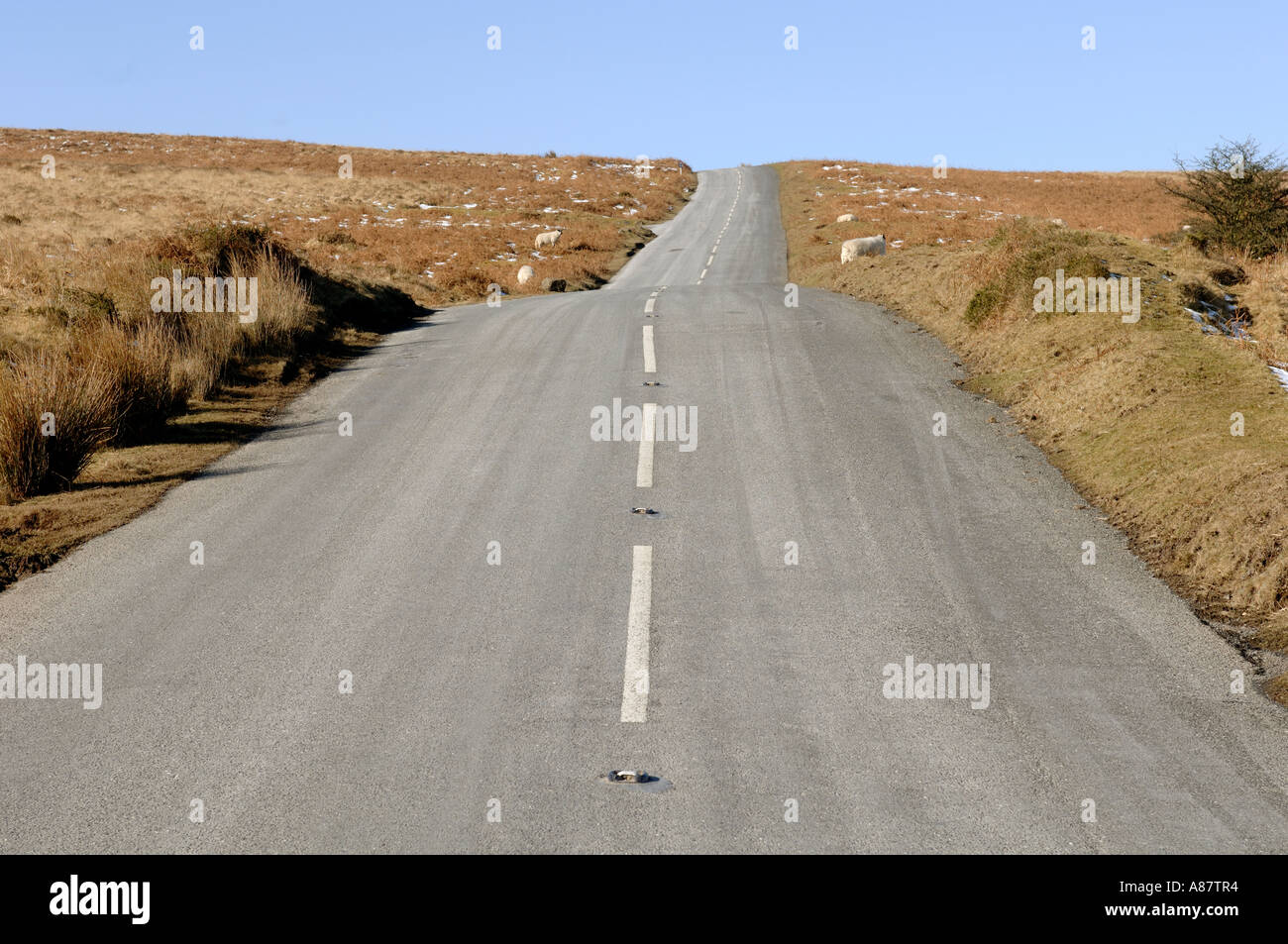 Road Through Dartmoor Stock Photo - Alamy