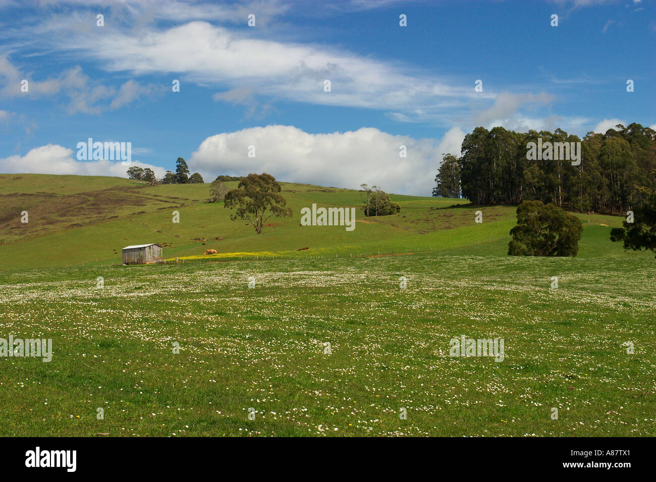 Country countryside rural hi-res stock photography and images - Alamy