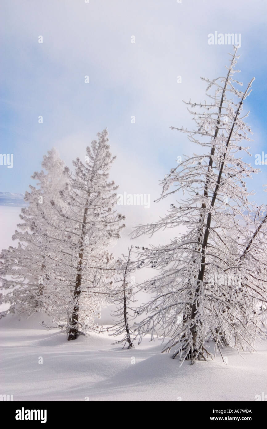 Hoar basin hi-res stock photography and images - Alamy