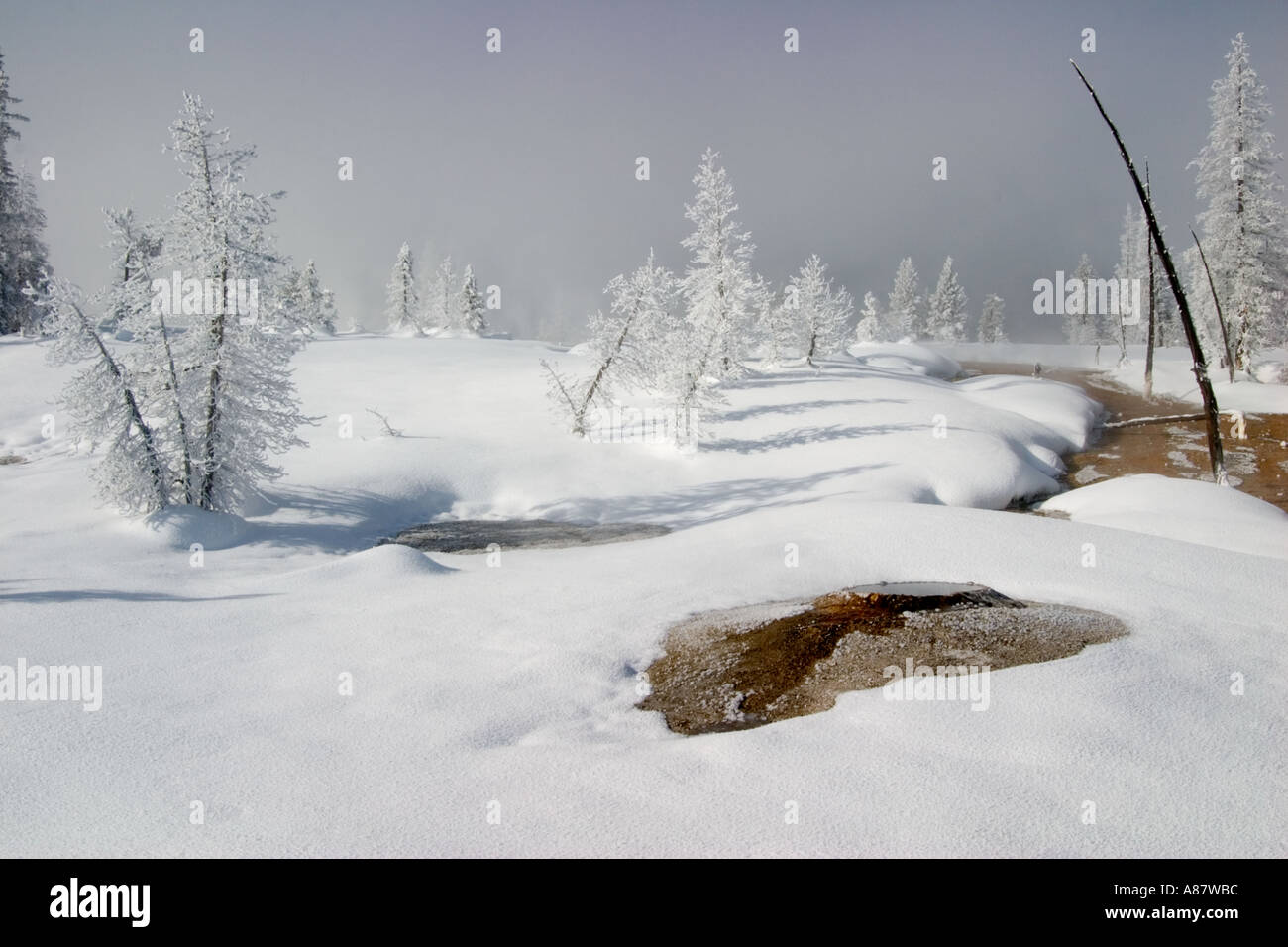 Trees covered in rime frost in bitter cold early winter morning at West ...