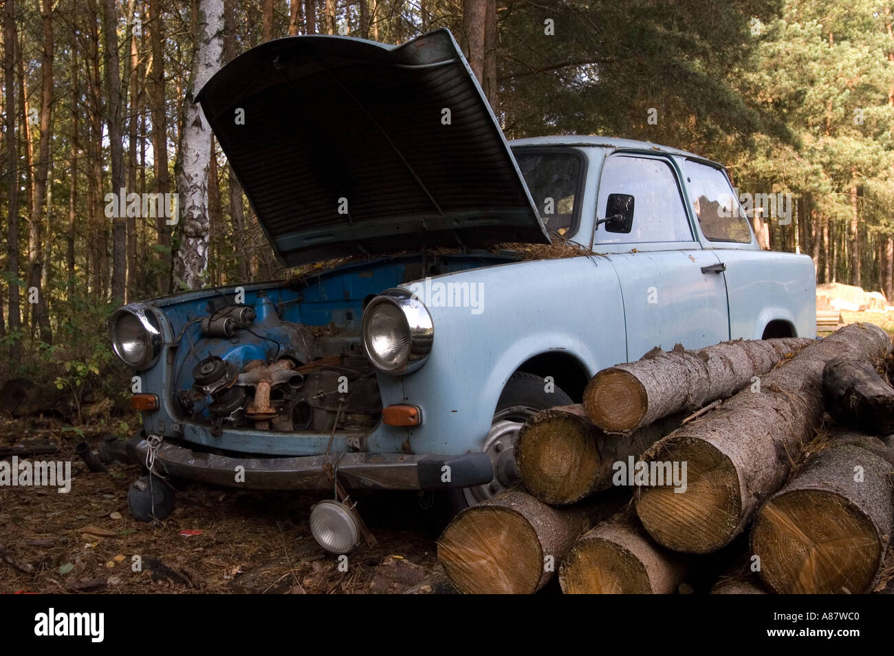 Old destroyed abandoned Trabant car in polish forest Stock Photo - Alamy
