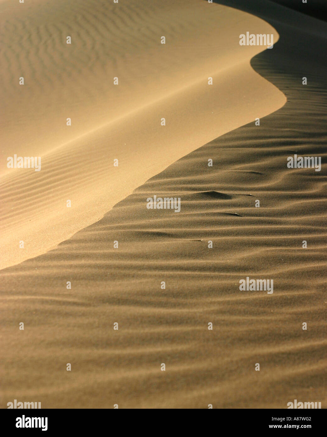 Continuous lines curves hi-res stock photography and images - Alamy