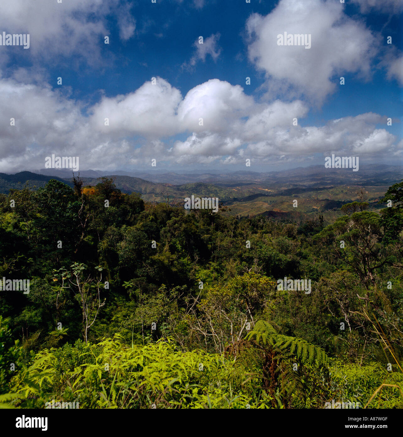 Dominican Republic Tropical Landscape El Parque Nacional Mountains ...