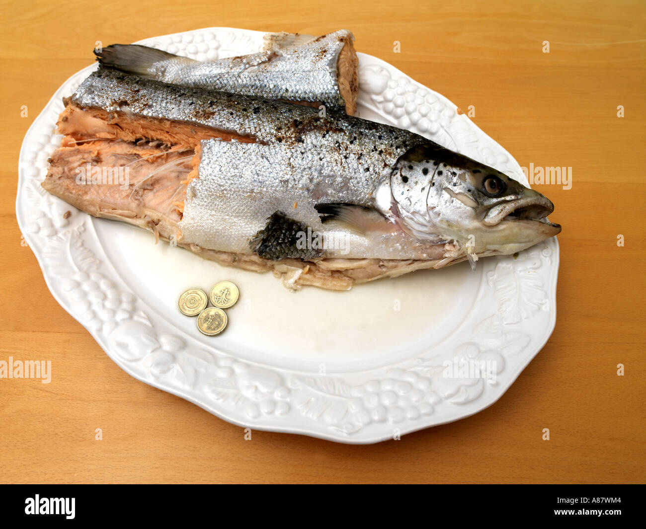 Three gold fish hi-res stock photography and images - Alamy