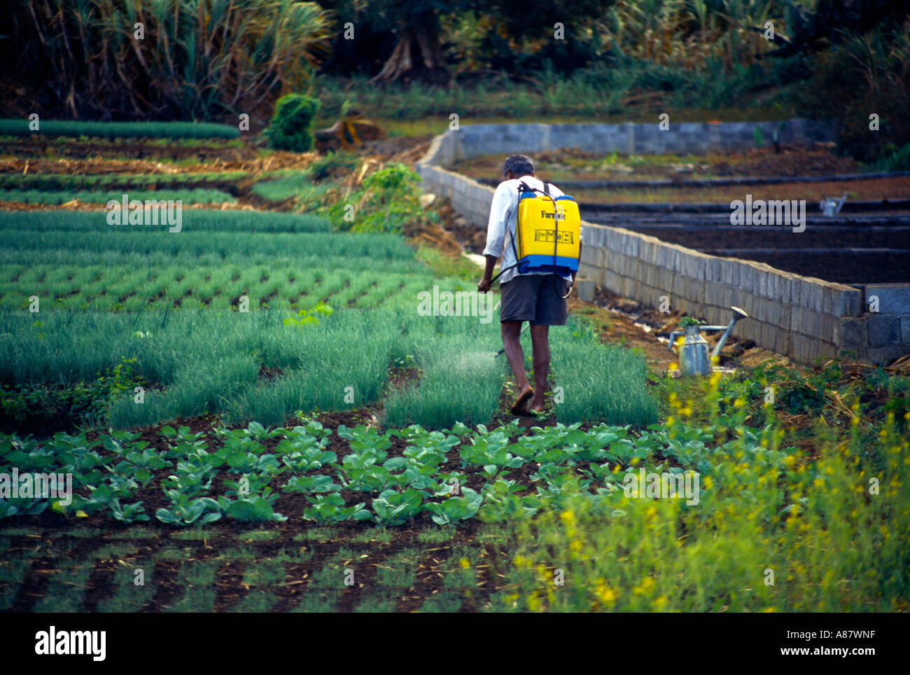 Man spraying hi-res stock photography and images - Alamy
