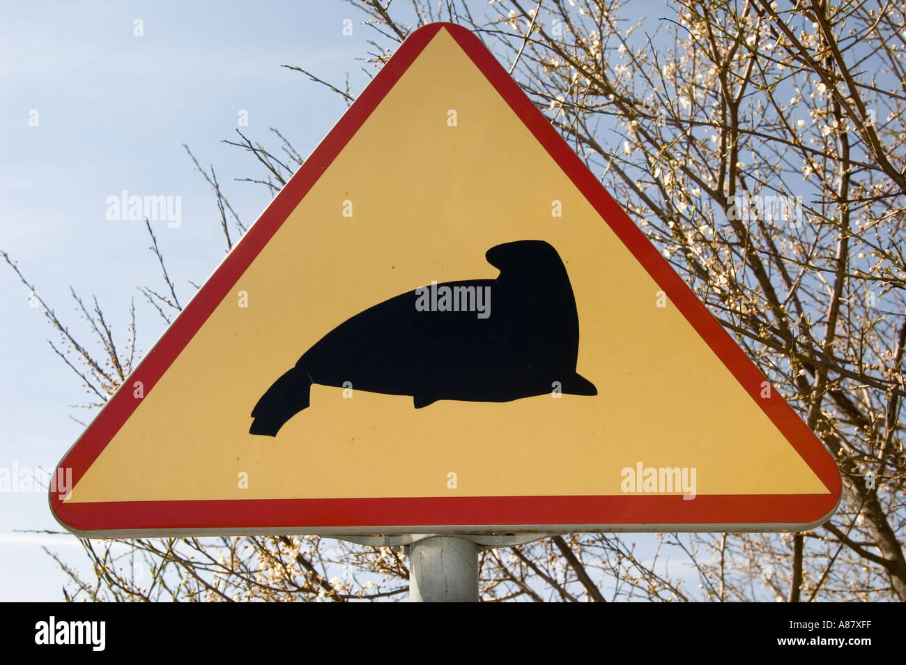 Sign post seal Stock Photo - Alamy