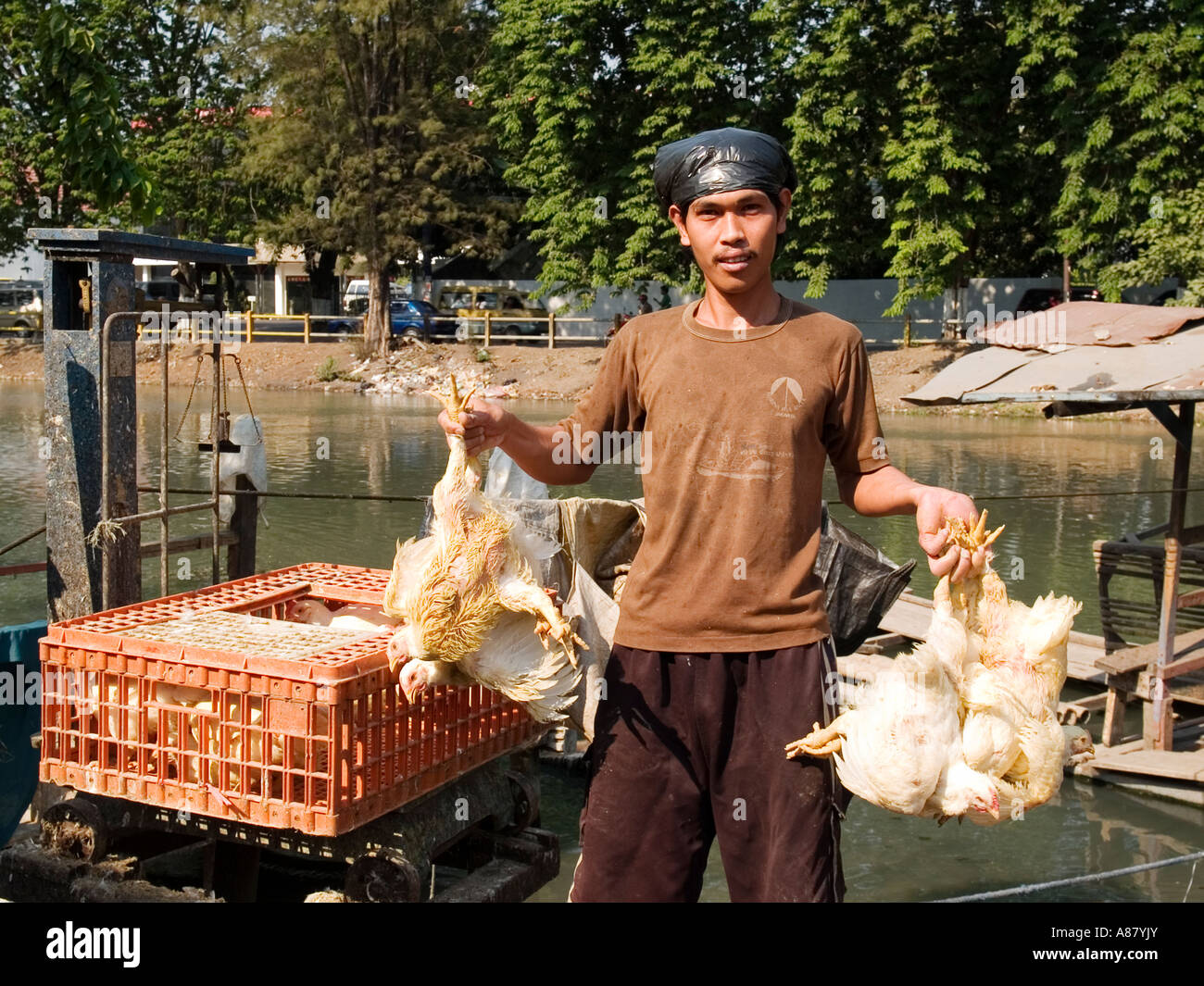 Local man holding chickens ready for slaughter in a slum area of ...