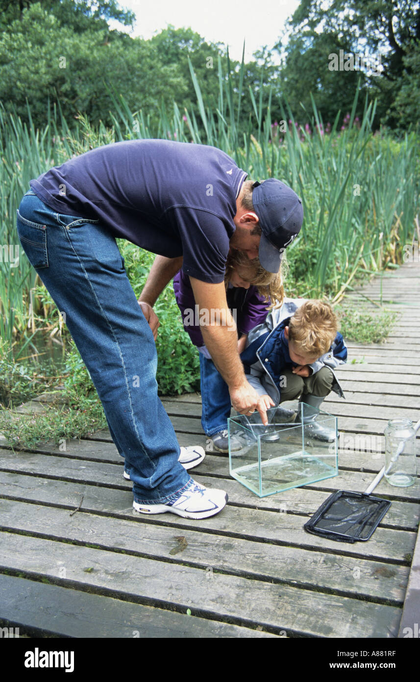 Family pond dipping Stock Photo - Alamy