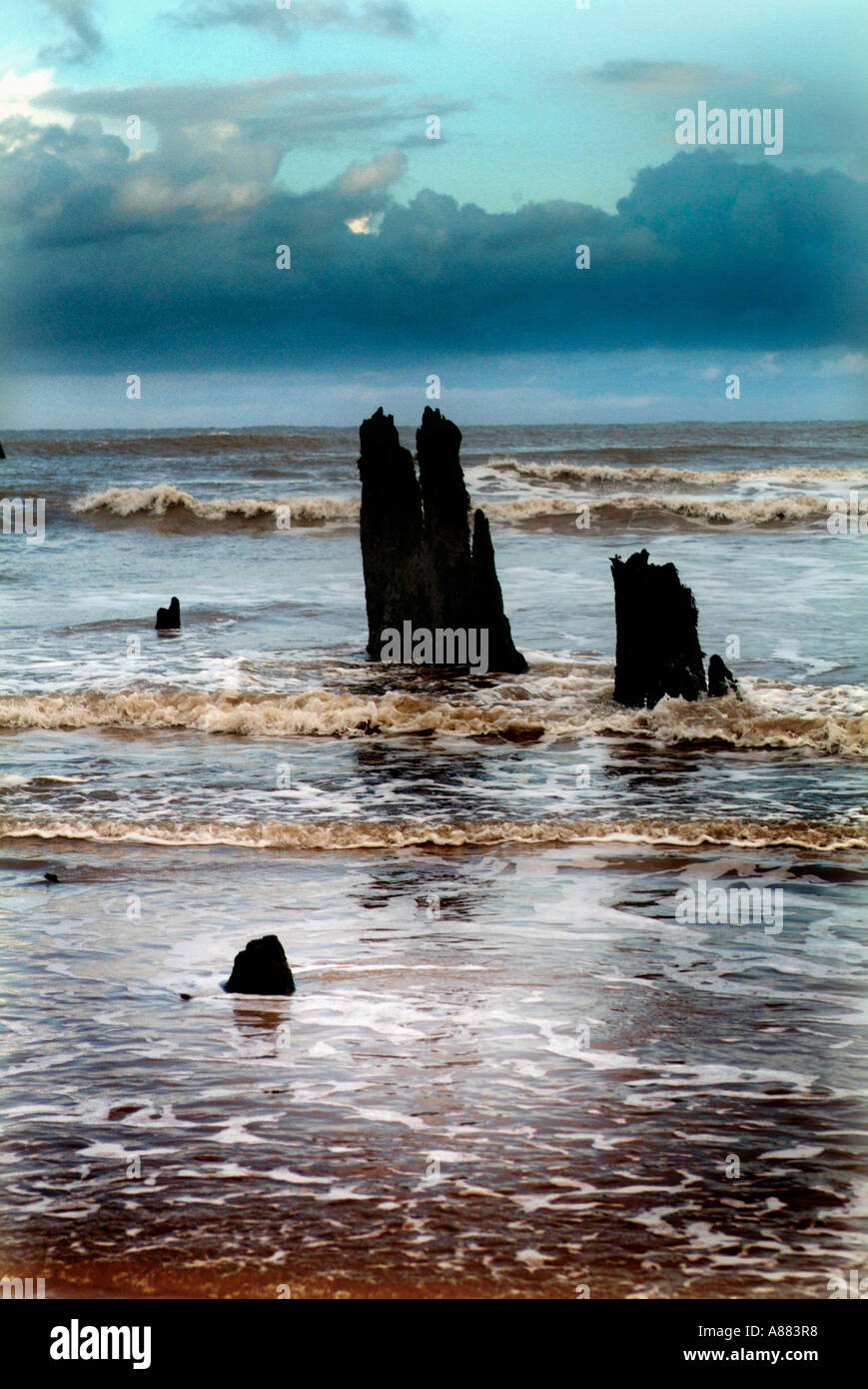 submerged wooden piles Walberswick Suffolk Stock Photo - Alamy