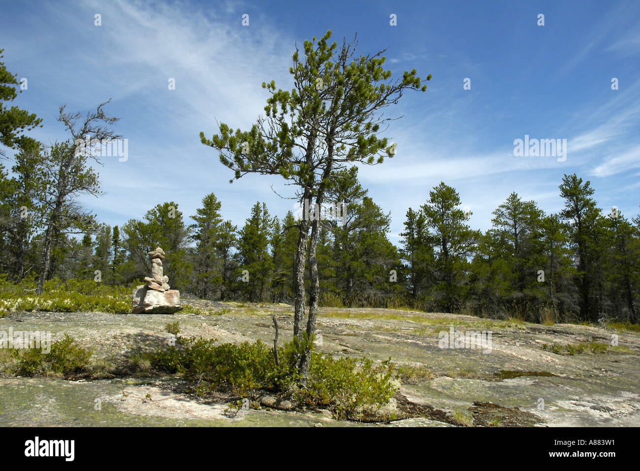 Solo tree hi-res stock photography and images - Alamy