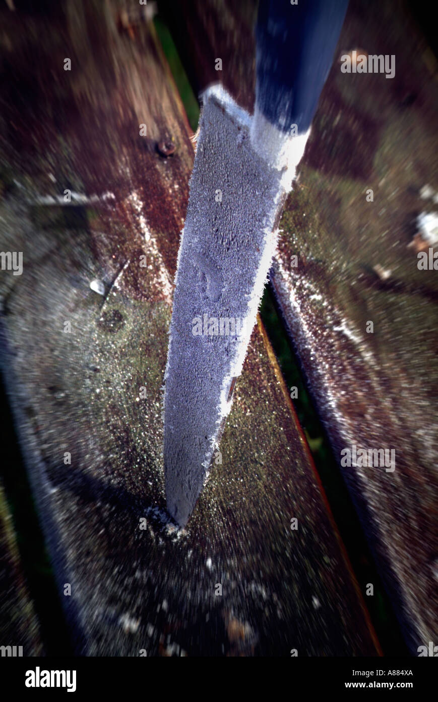 knife stuck in wooden taable Stock Photo - Alamy