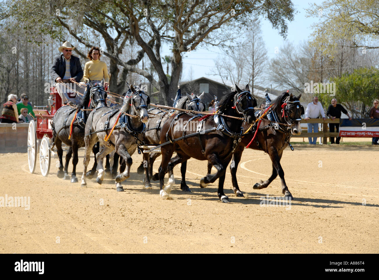 Draft Horse show features wagon pulling competition in equestrian ...