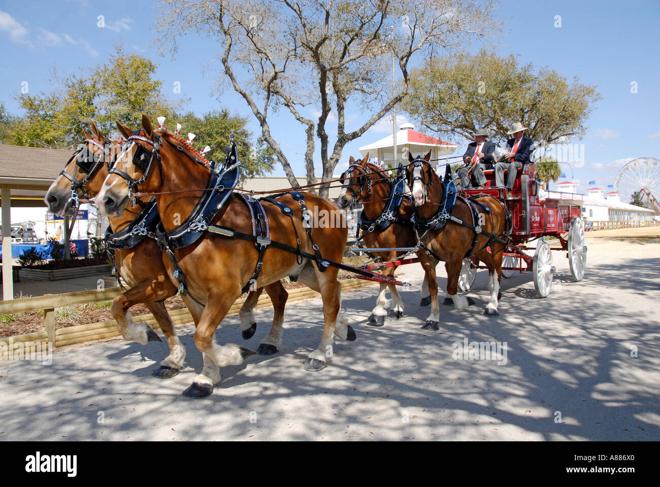 Draft Horse show features wagon pulling competition in equestrian ...