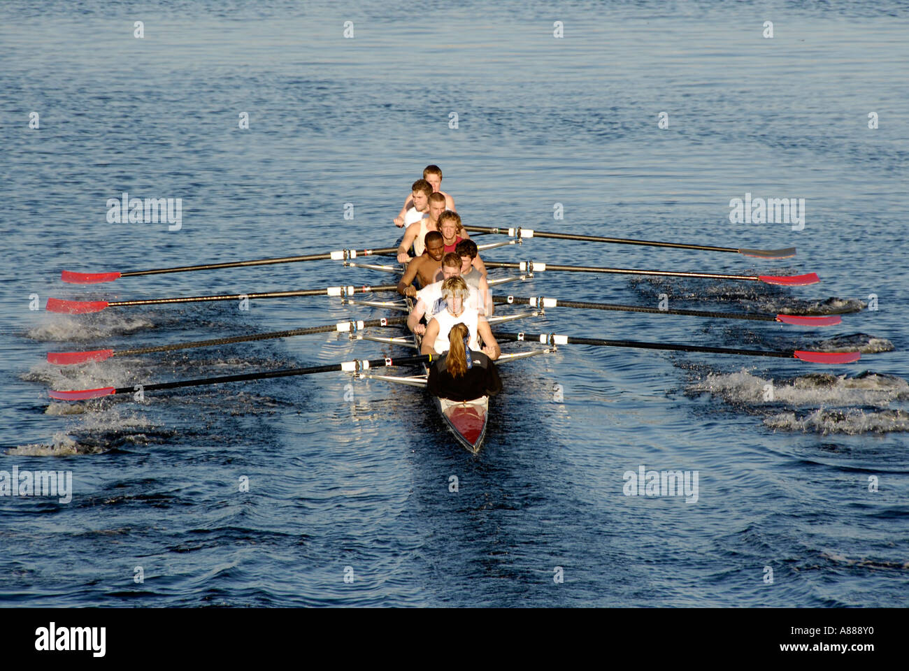 Sculling on Tampa Bay at Tampa Bay Florida University of South Florida ...