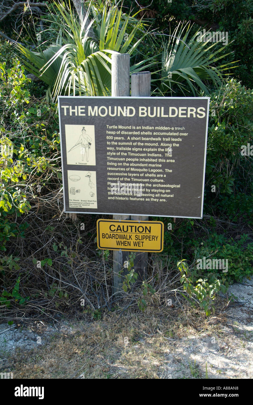 Turtle Mound section of the Florida Indian Mound Builders Stock Photo ...