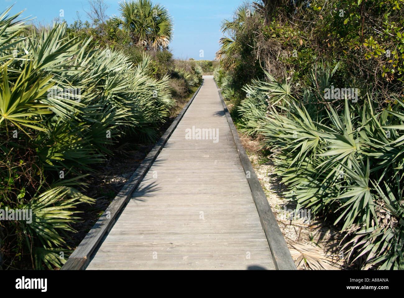 Turtle Mound section of the Florida Indian Mound Builders Stock Photo ...
