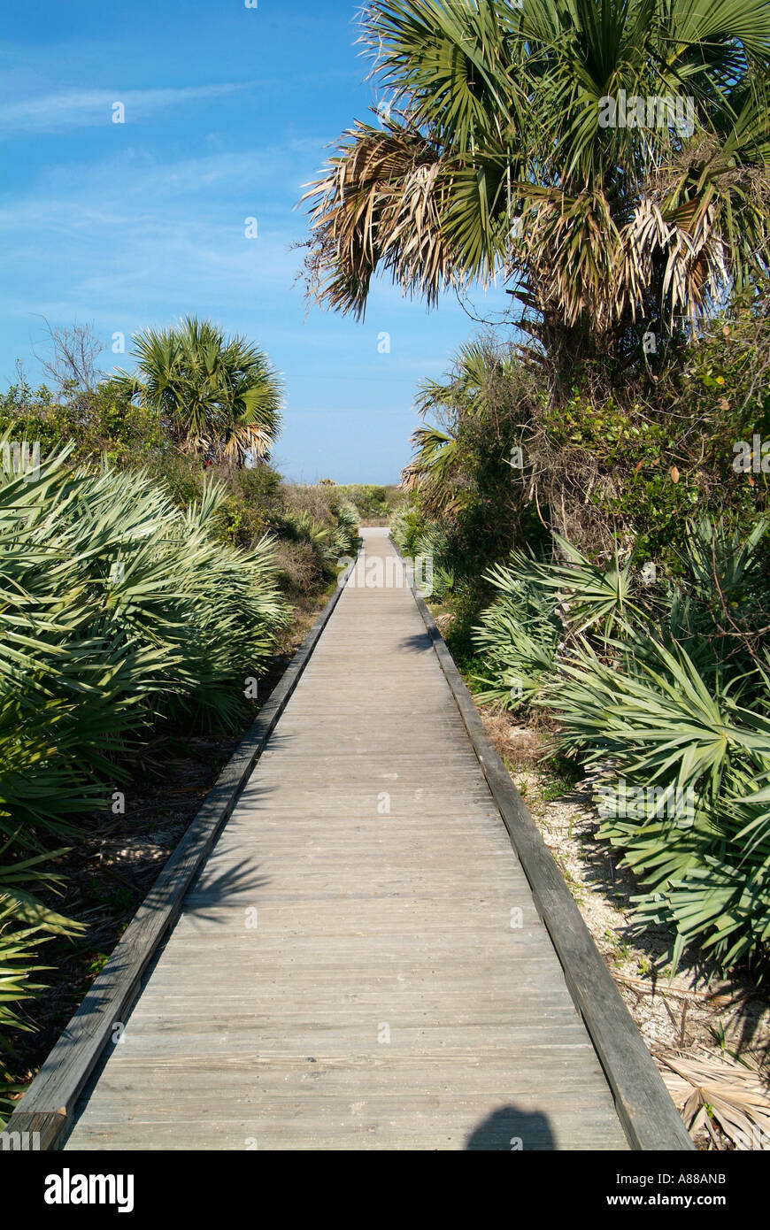 Turtle Mound section of the Florida Indian Mound Builders Stock Photo ...