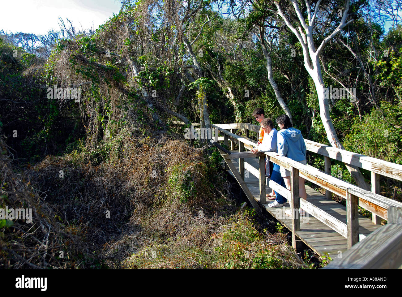 Turtle Mound section of the Florida Indian Mound Builders Stock Photo ...
