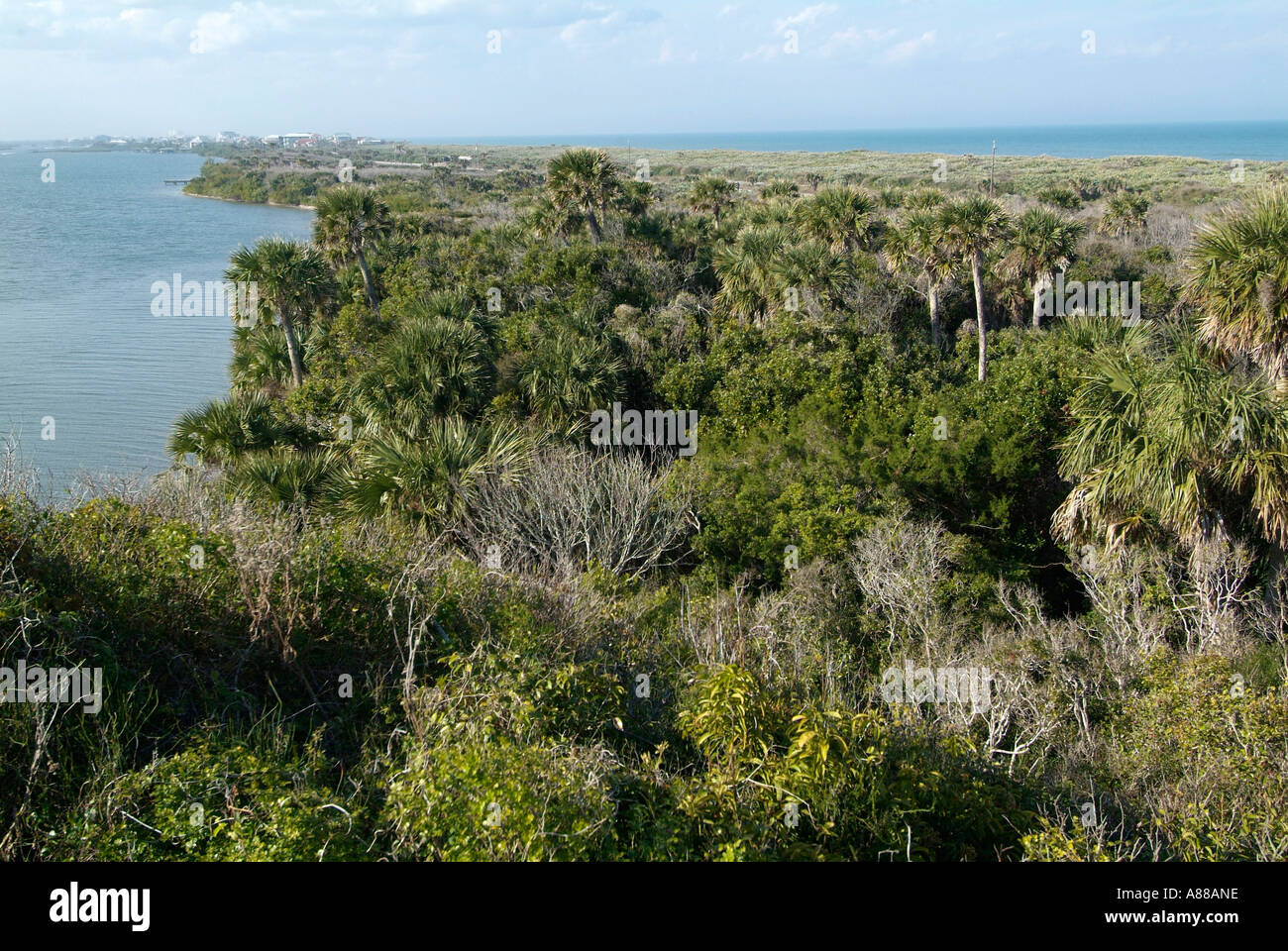 Turtle Mound section of the Florida Indian Mound Builders Stock Photo ...