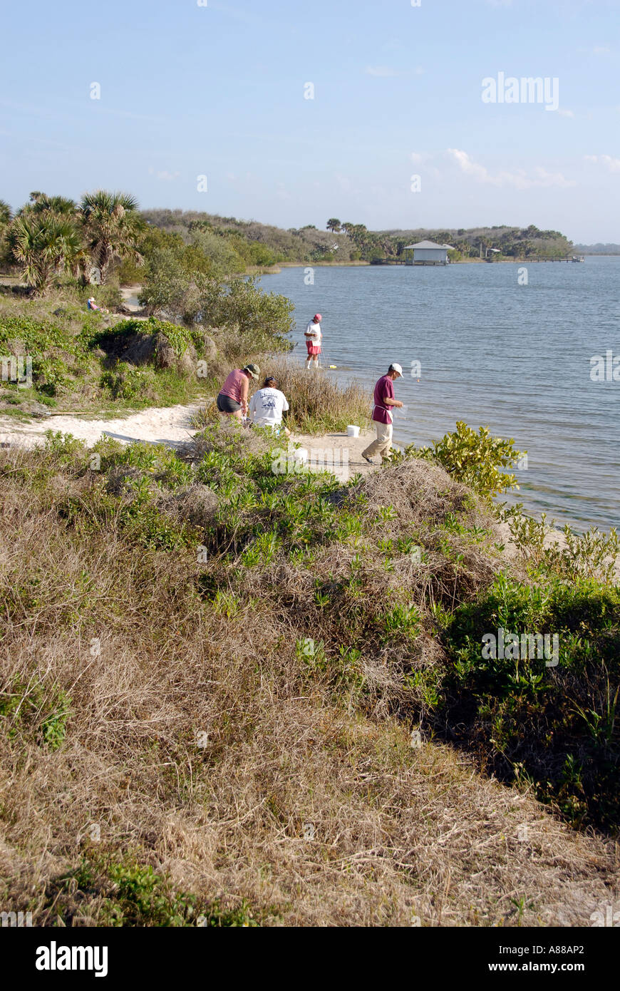 Turtle Mound section of the Florida Indian Mound Builders Stock Photo ...