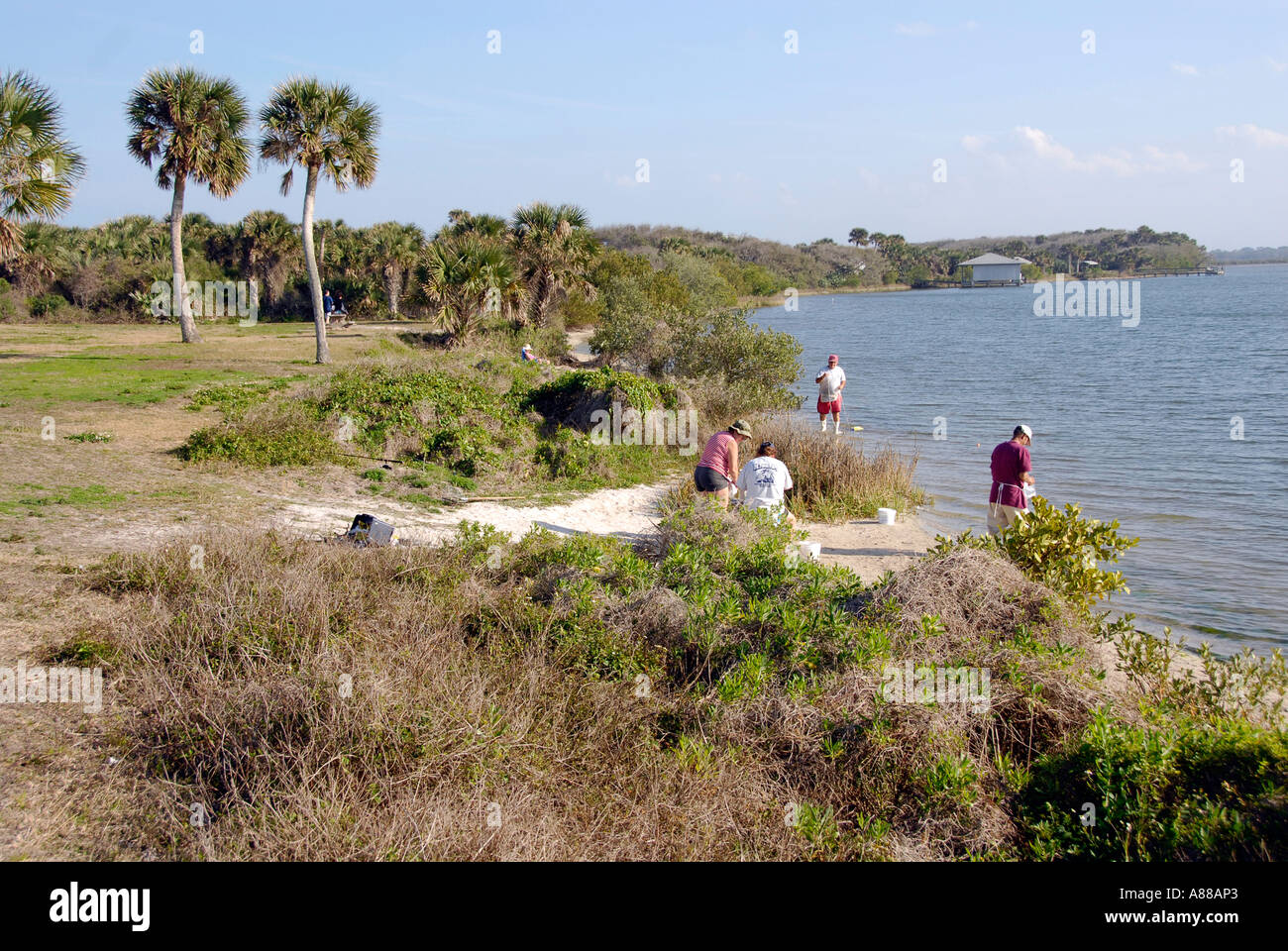 Turtle Mound section of the Florida Indian Mound Builders Stock Photo ...