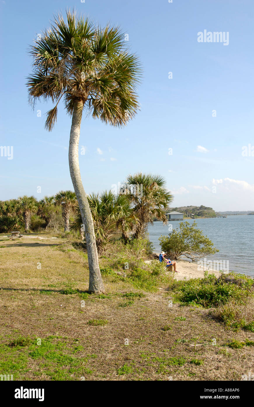 Turtle Mound section of the Florida Indian Mound Builders Stock Photo ...