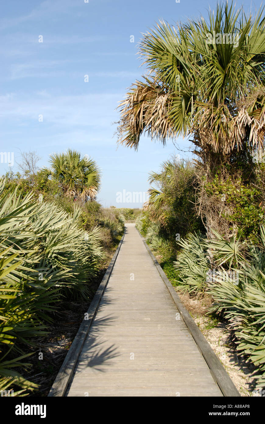 Turtle Mound section of the Florida Indian Mound Builders Stock Photo ...