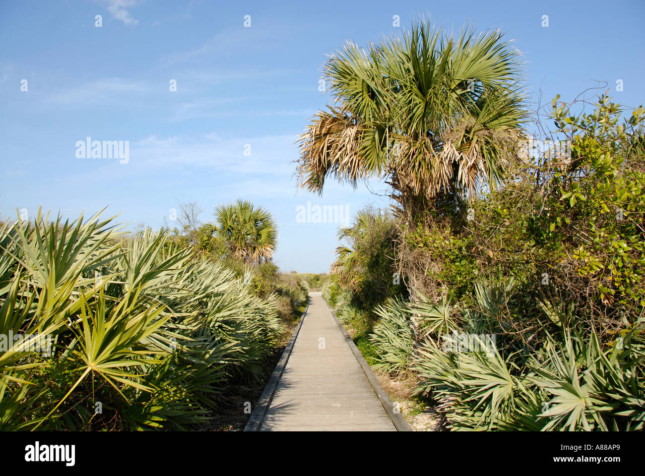 Turtle Mound section of the Florida Indian Mound Builders Stock Photo ...