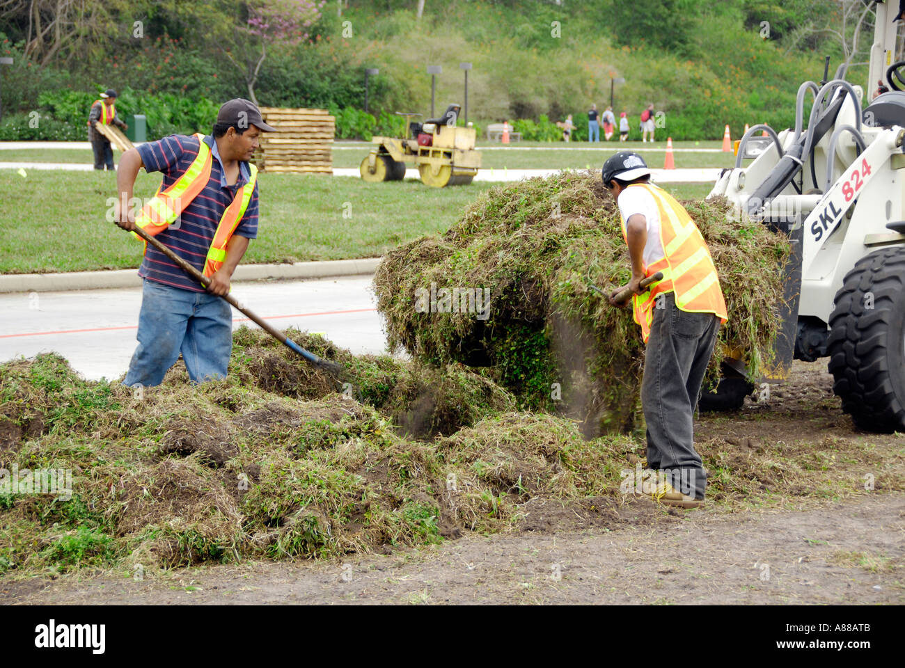 Construction Workers Clean Up And Prepare Landscape Prior To Laying New Grass Flowers And Shrubs construction-workers-clean-up-and-prepare-landscape-prior-to-laying-new-grass-flowers-and-shrubs