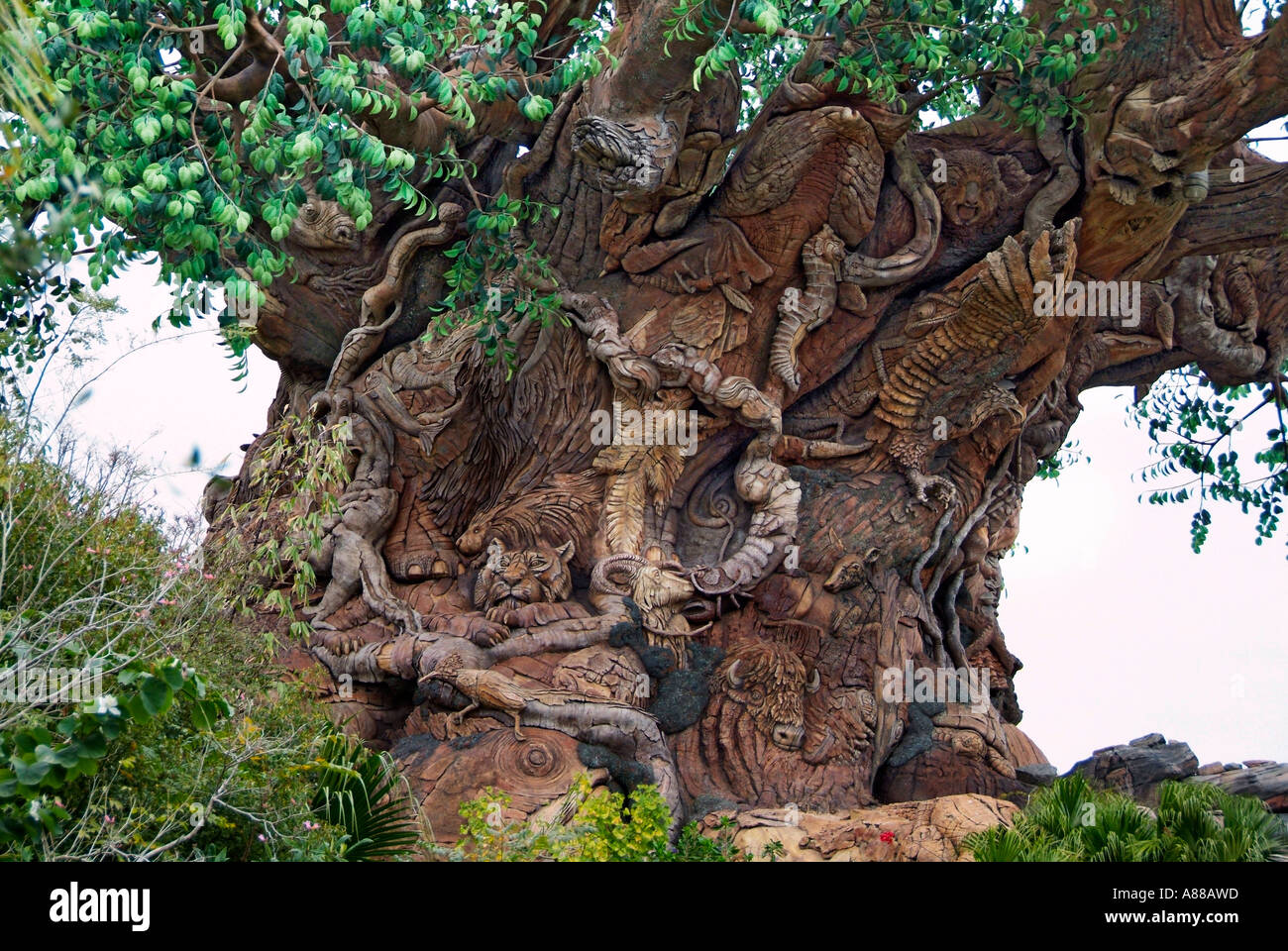 Behold the Tree of Life is the grand symbol of The Animal Kingdom Park ...