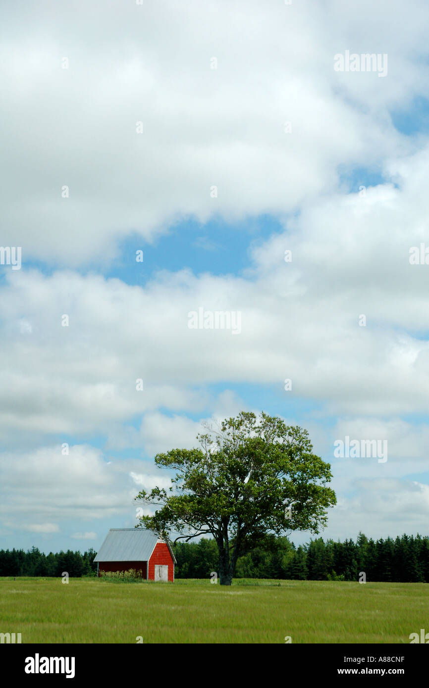 Barn by tree Stock Photo - Alamy