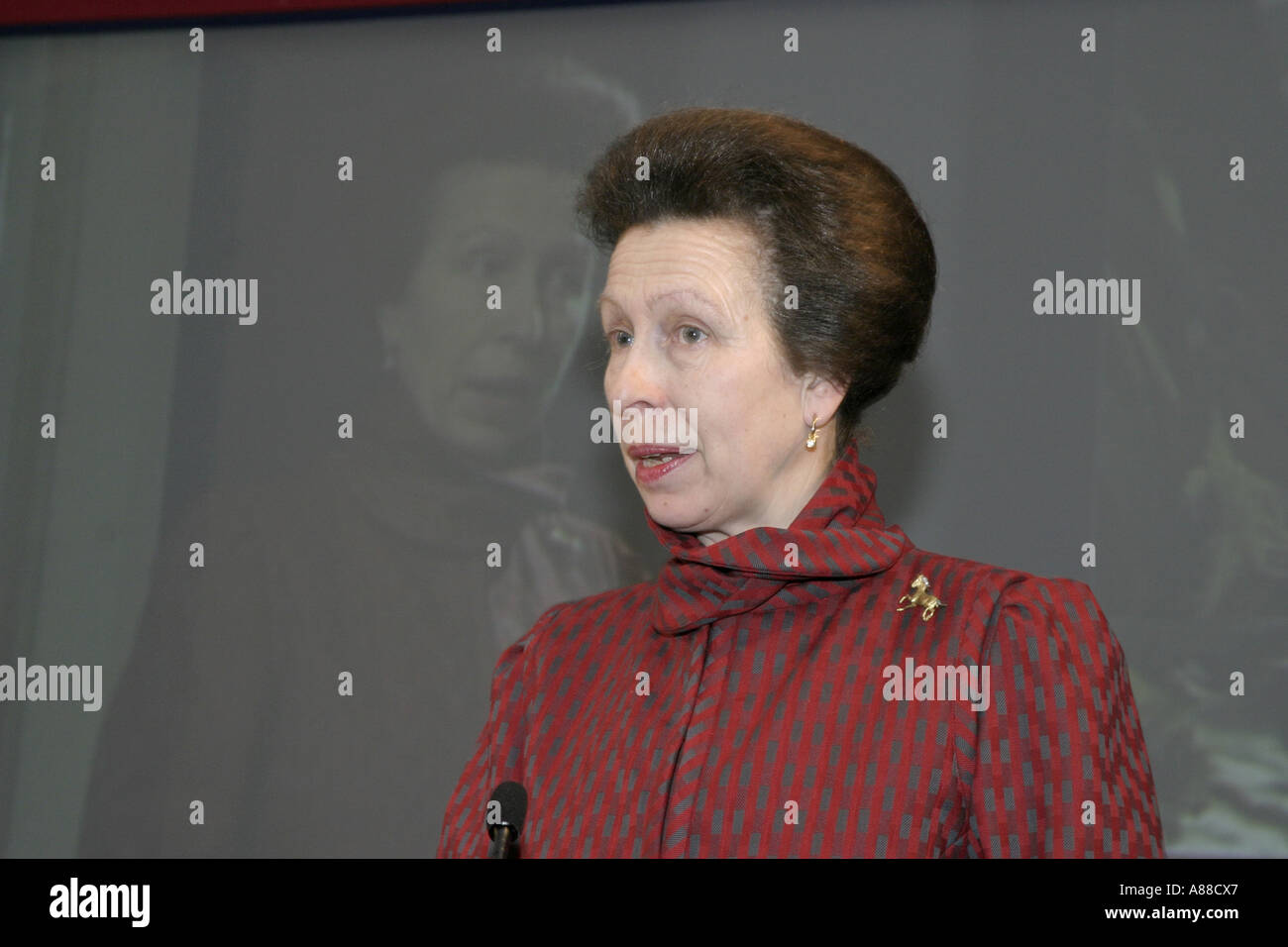 hrh princess anne uk 2006 Stock Photo - Alamy
