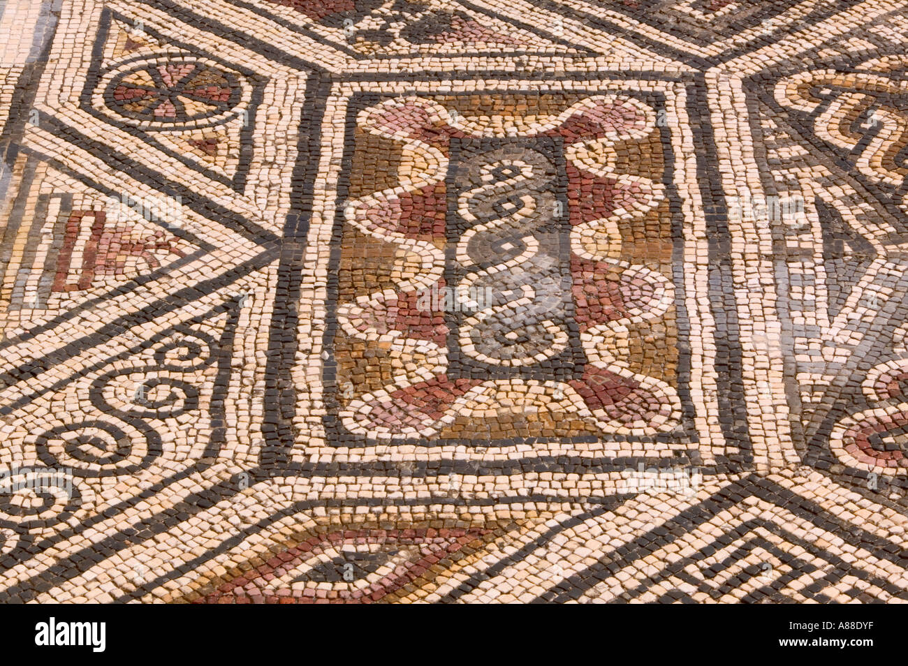 original Roman mosaics, preserved at Conimbriga, near Coimbra, Portugal ...