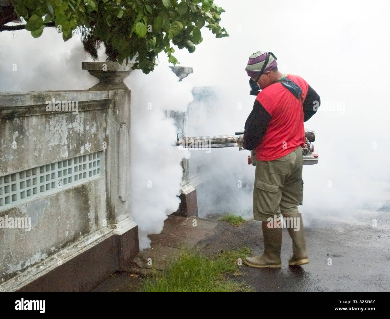 Mosquito Eradication High Resolution Stock Photography and Images - Alamy